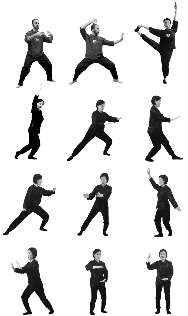 ZEN Tai Chi | Harmony Meditation