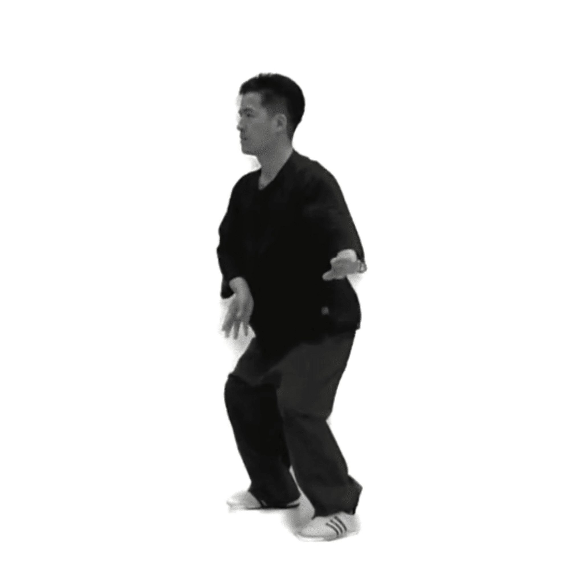 ZEN Tai Chi Camp | Harmony Meditation